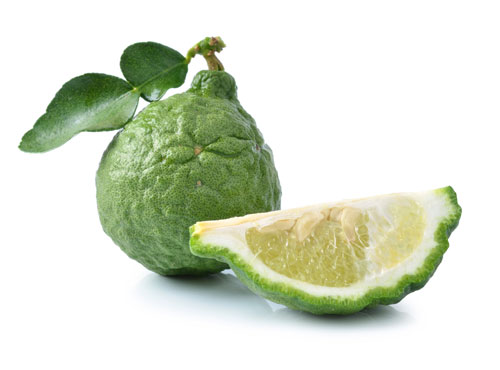 Bergamotte - Golden Fruits